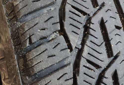 Tigar Winter 215/50 R17 95V