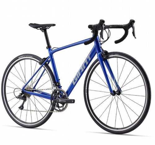 Giant contend 2 IN cobalt