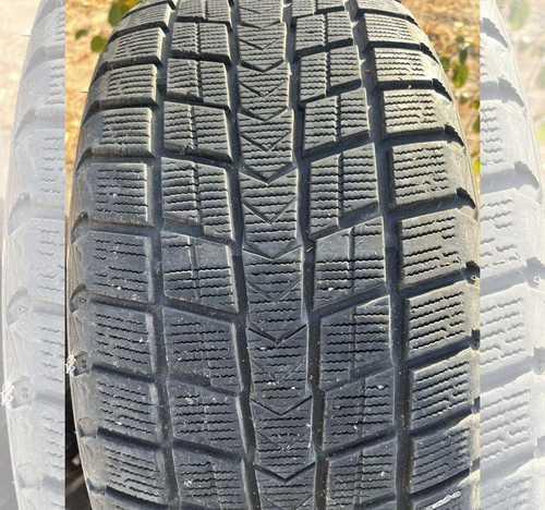 Nexen Winguard Ice SUV 255/50 R19