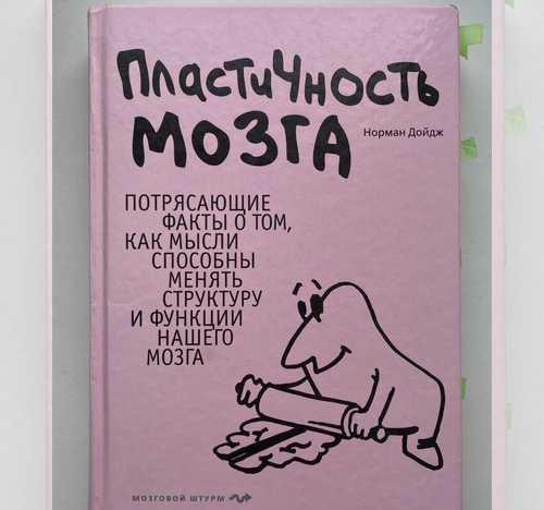 Пластичность мозга