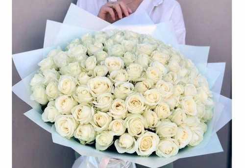 Букет 25 белых роз. Цветы.Розы