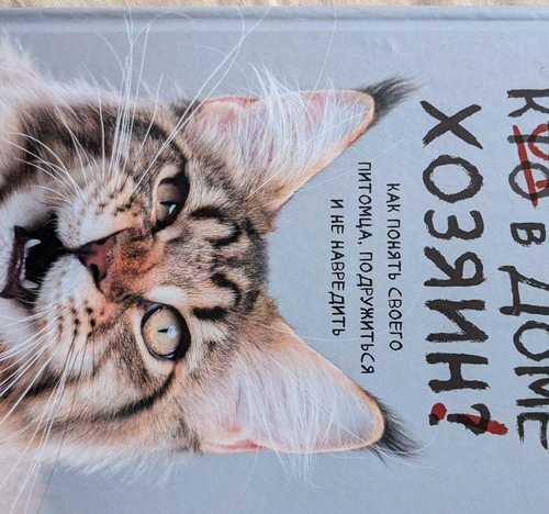Книга "Кот в доме хозяин" А. Александрова