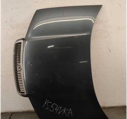 Капот Skoda Fabia