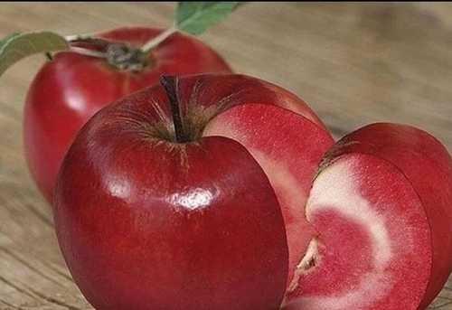 Яблони с красной мякотью