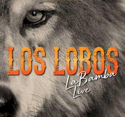 Виниловая пластинка Los Lobos - La Bamba Live (Transparent Orange Vinyl)