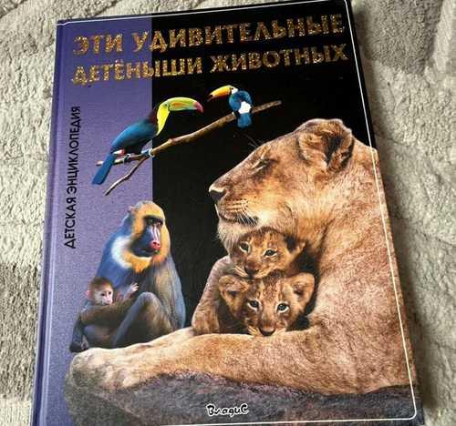 Книга детская