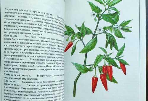 Ботанические книги специи, растения