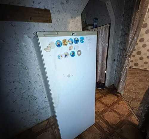 Холодильник Чинар 3