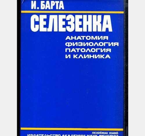 Селезенка. Анатомия. Физиология. Патология и клиника