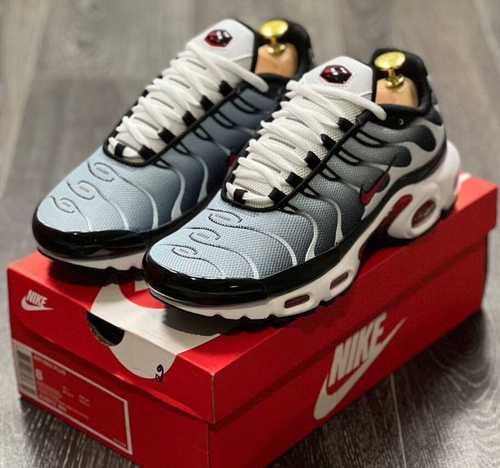 Кроссовки Nike Air Max Tn Plus