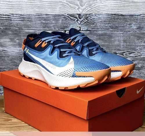 Кроссовки мужские nike pegasus trail 2