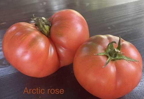 Семена томатов: гномов dwarf, низкорослых и др ч15