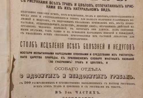 Русский народный лечебный травник и цветник 1885г