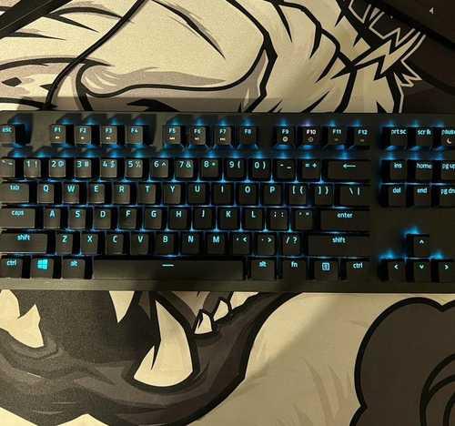 Razer huntsman te