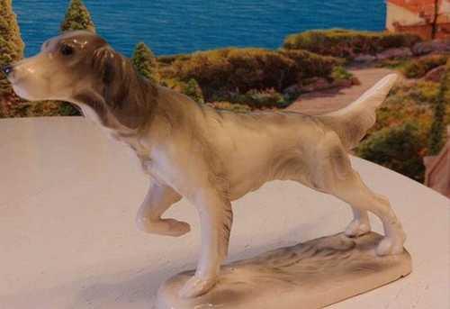 Фарфоровая статуэтка собаки,Германия