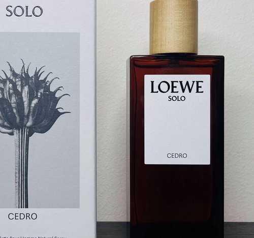 Loewe Solo Cedro (Оригинал)