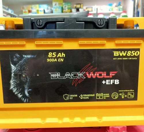 Аккумулятор black wolf +EFB 85 Ah оп и пп