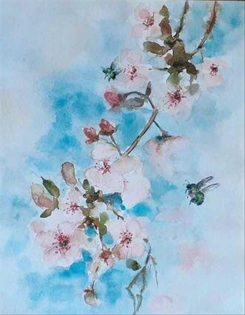Картина акварелью: "Сакуры цветение "