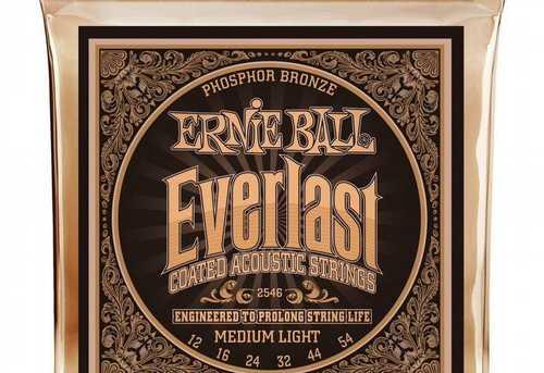 Струны для акустической гитары Ernie Ball 2546 Eve