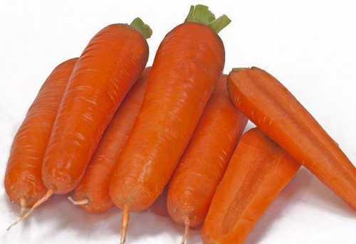Семена сладкой сочной моркови (Тангерина F1)