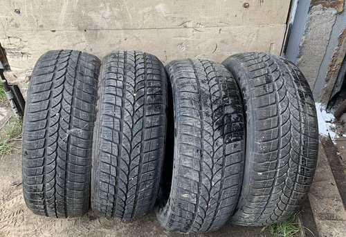 Tigar Winter 1 205/55 R16