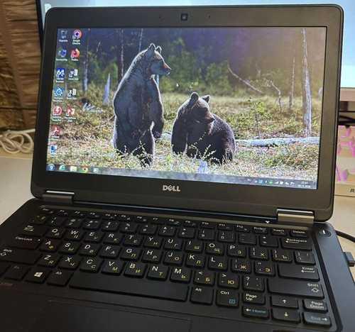 Ноутбук dell latitude e7250