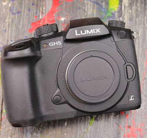 Panasonic Lumix DC-GH5 Body s/n065