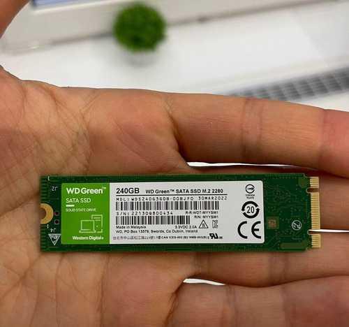 Western Digital 240 гб Внутренний SSD-диск Green