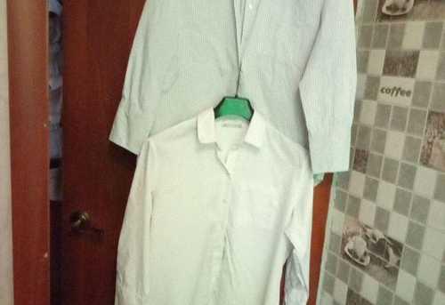 Рубашки-блузы zarina 46-48