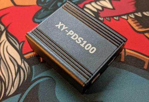 Зарядное XY-PDS100