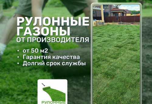 Рулонный газон. Качественный газон от производител