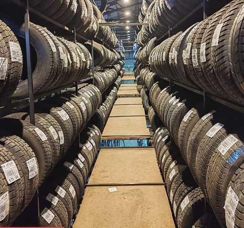 Delinte Winter WD1 215/55 R16 97N