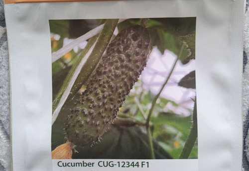 Семена огурца CUG-12344 F1 (пусковая завязь)