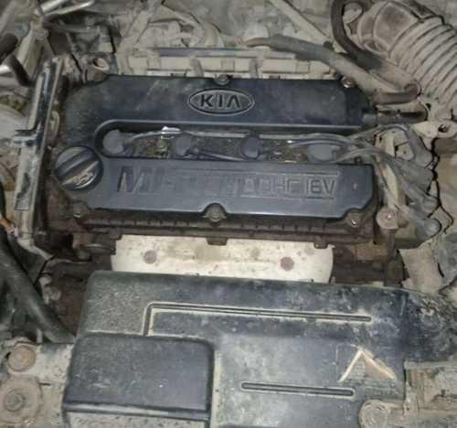 Двигатель kia spectra 1.6 s6d