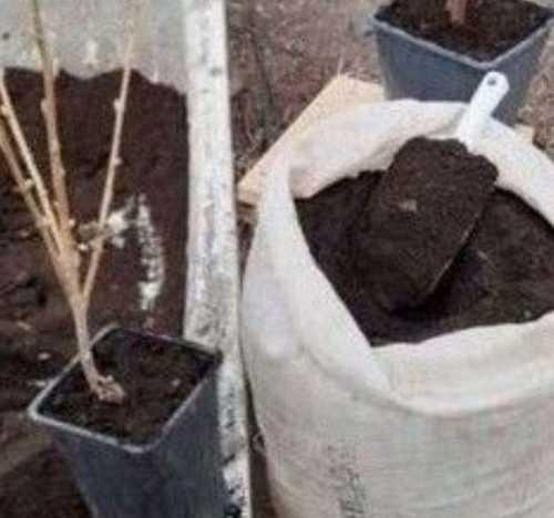 Чёрнозём грунт в мешках с доставкой на дом