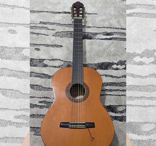 Гитара valencia cg160
