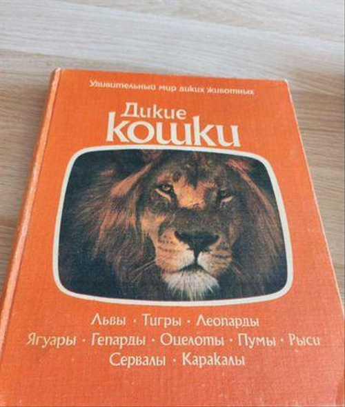 Мир диких животных Дикие кошки 1981г