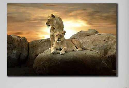 Красивая картина маслом для интерьера Два льва