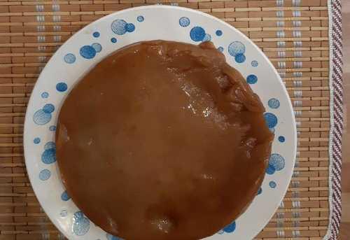 Чайный гриб комбуча