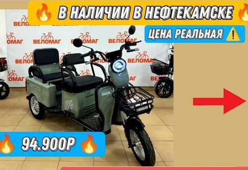 Электро трицикл грузовой (Муравей) 800w мощный