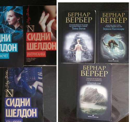 Книги С. Шелдон и Б. Вербер