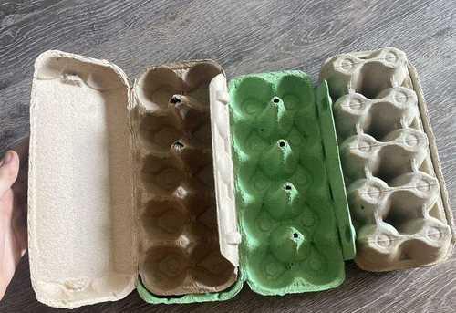 Лотки упаковка для яиц