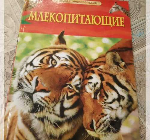 Книги разные детские