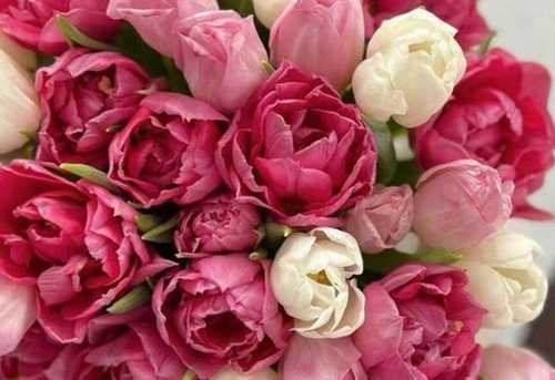 Цветы розы тюльпаны цветы доставка по Ставрополю