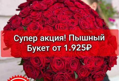 Цветы букет розы 25 / 51/ 101 / 201 / 301