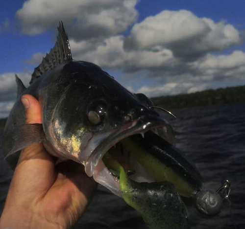 Силиконовые приманки Fish Feast