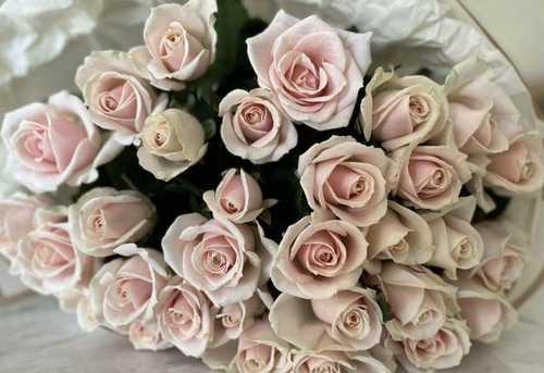 Букет Белых Розы. 21 Роза. 51 Роза. 101 роза