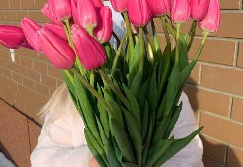 Крупные тюльпаны к 8 марта
