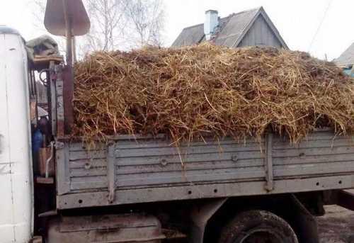 Чернозем, навоз, перегной, песок, щебень