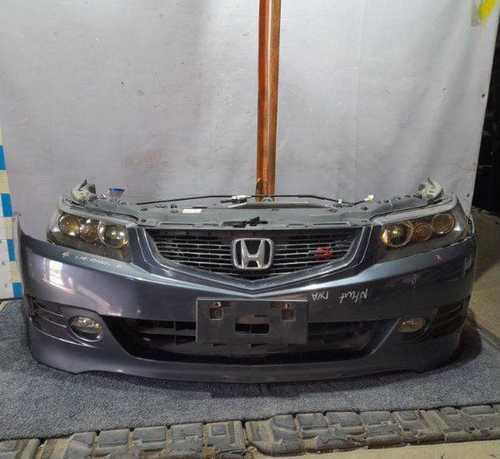 Ноускат Honda Accord 7